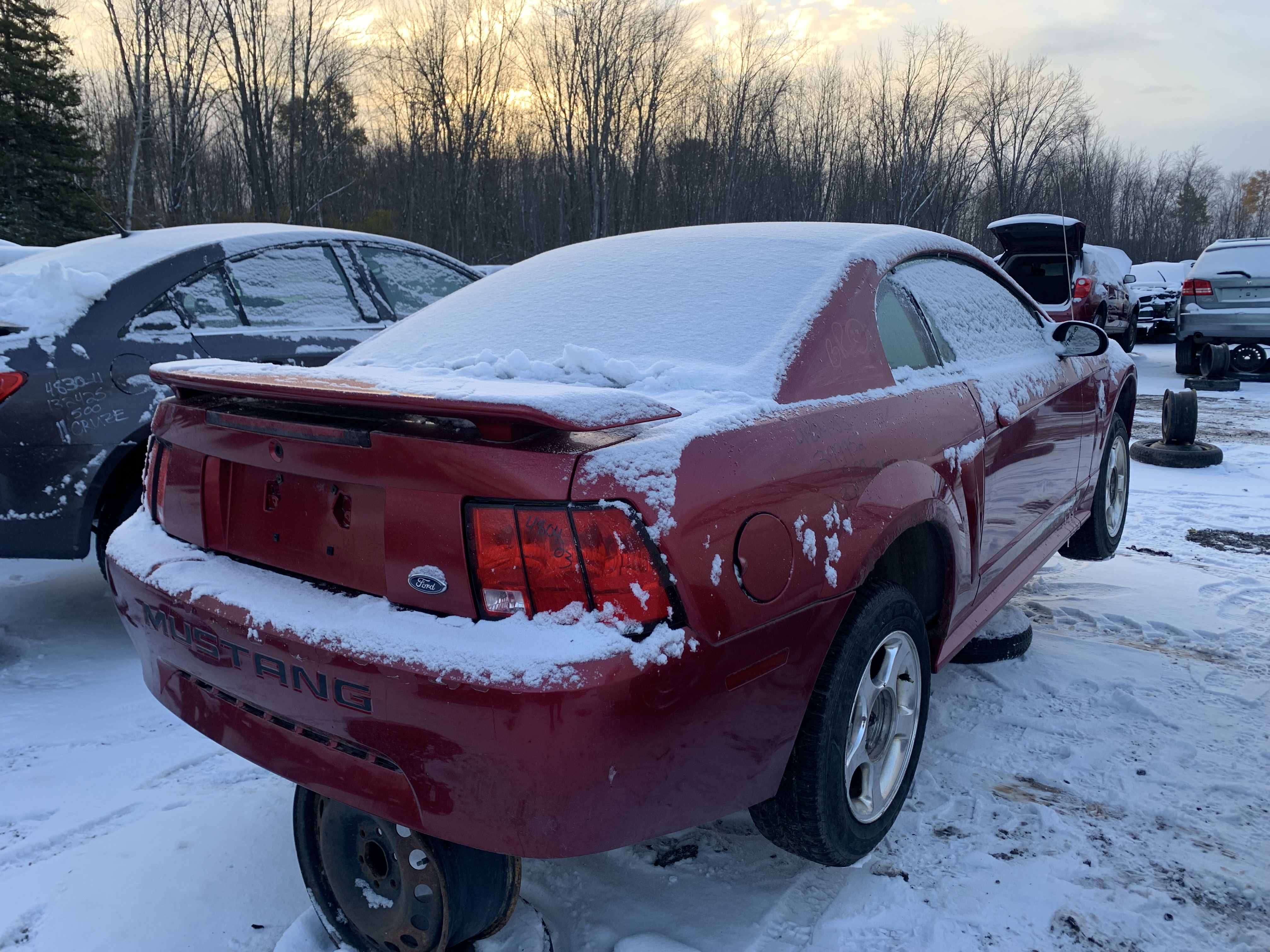 FORD MUSTANG 2003 | Barrie | Kenny U-Pull