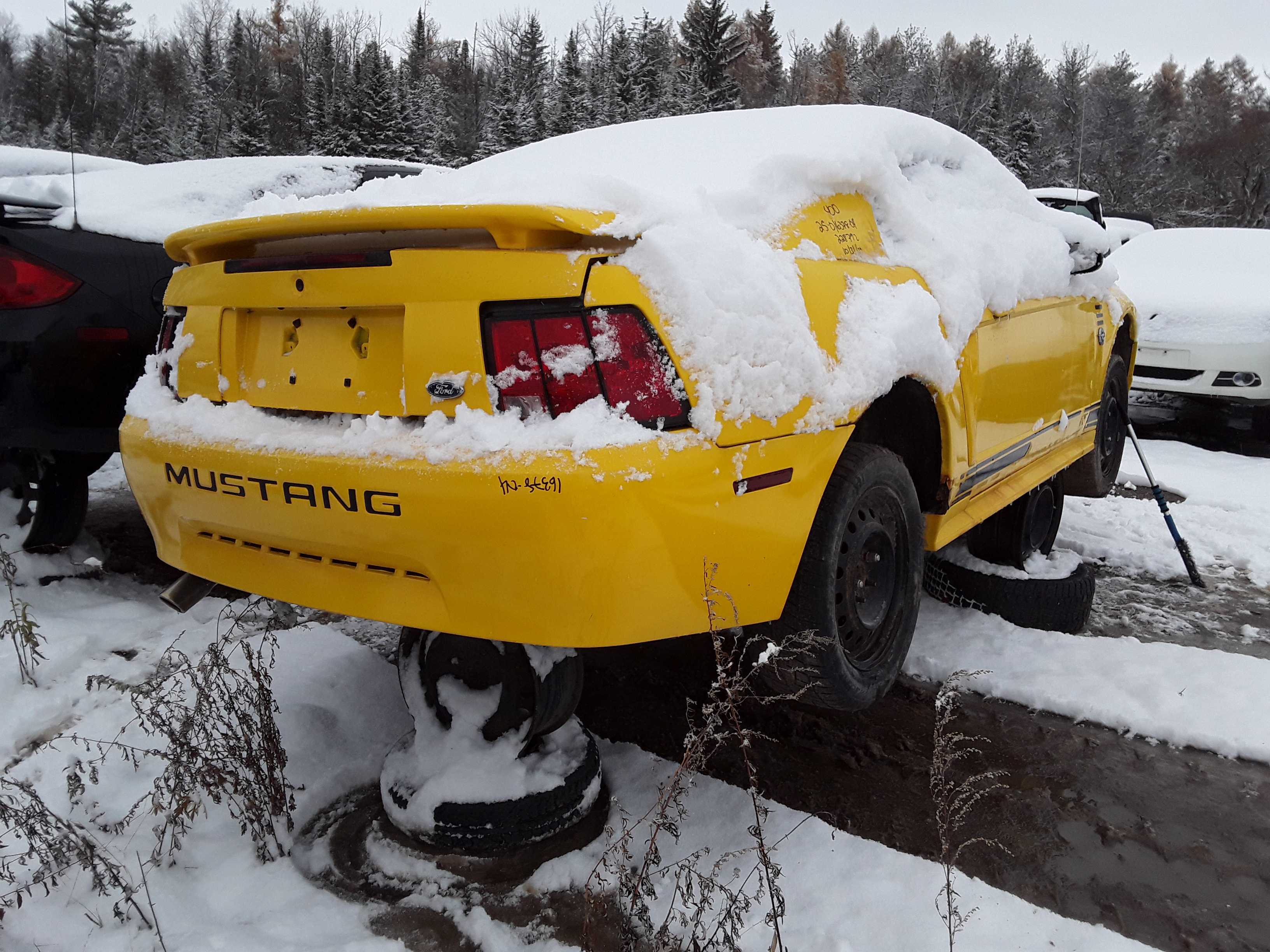FORD MUSTANG 2004 | Newmarket | Kenny U-Pull